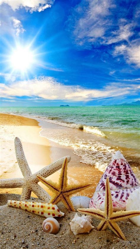 Cute Summer Beach Wallpapers Top Free Cute Summer Beach Backgrounds