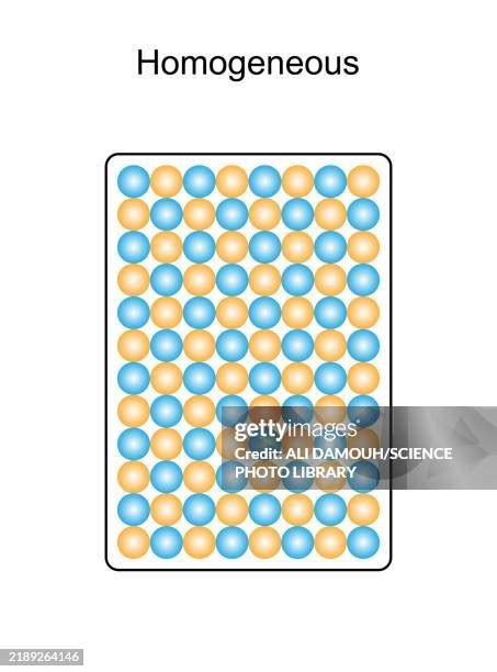 Homogeneous Mixture Illustration High Res Vector Graphic Getty Images