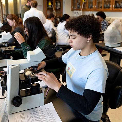 Biomedical Science Bs Sou Academic Programs