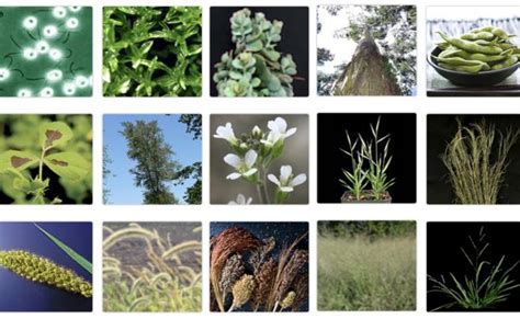 An Integrated Dataset To Understand Ecosystem Interaction Joint