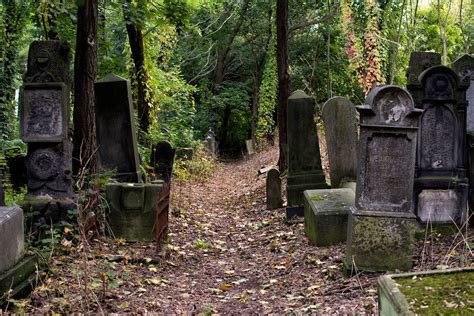 abandoned cemeteries - Google Search | Cemeteries, Cemetery, Cemetery ...