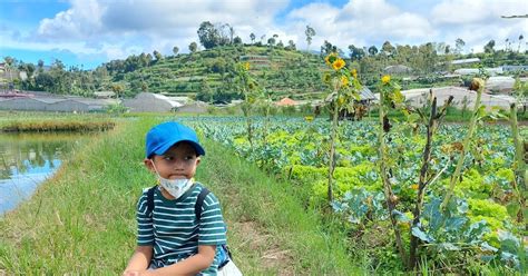 Nathalia Dp Dear Rashya