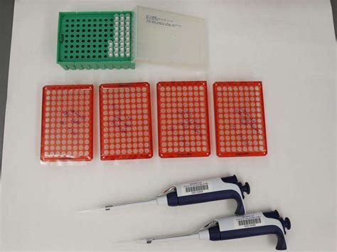 Calls To Reveal Depth Of Queensland S Forensic Backlog Campaspe News