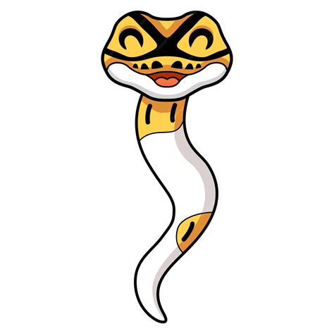 Premium Vector Cute Albino Pied Ball Python Cartoon
