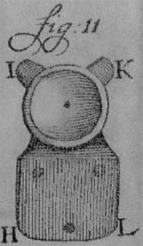 Loupes And Multiple Lenses Lens On Leeuwenhoek