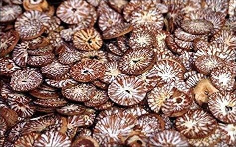 Hungry Harvest Sliced Areca Betel Nut Cutting Kachi Supari Raw
