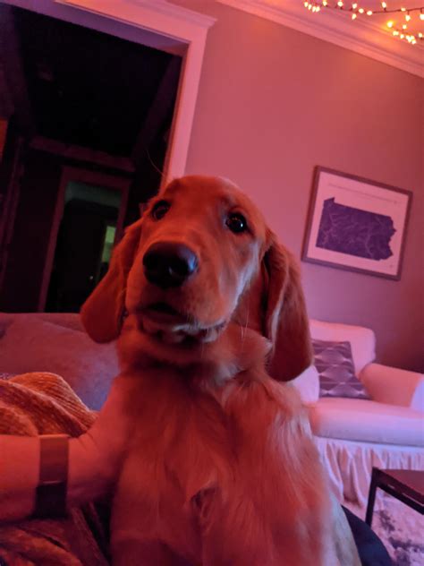 I Seen A Ghost Bertie Scrolller