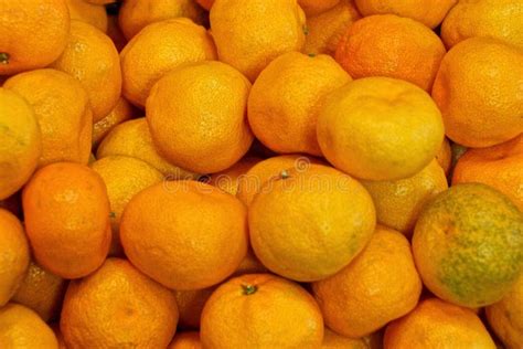 Small Round Ripe Orange Tangerines Stock Image Image Of Round Fruit