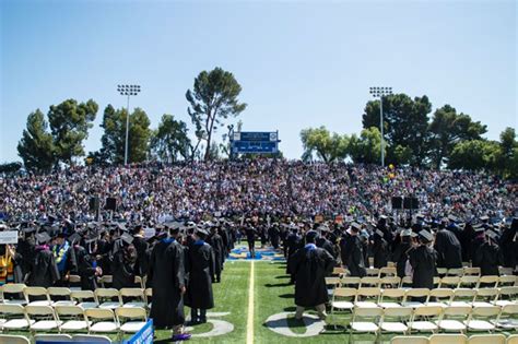 Your Last Assigned Reading The Odyssey Online