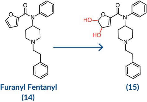 What Do We Know About The Metabolism Of The New Fentanyl Derivative Cayman Chemical
