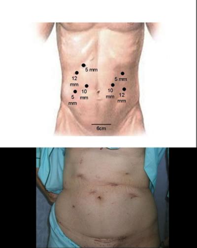 Internet Scientific Publications