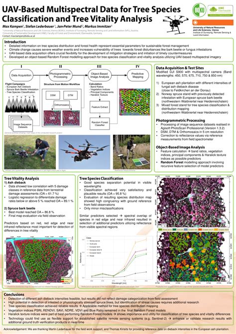 Pdf Uav Based Multispectral Data For Tree Species Classification And Tree Vitality Analysis