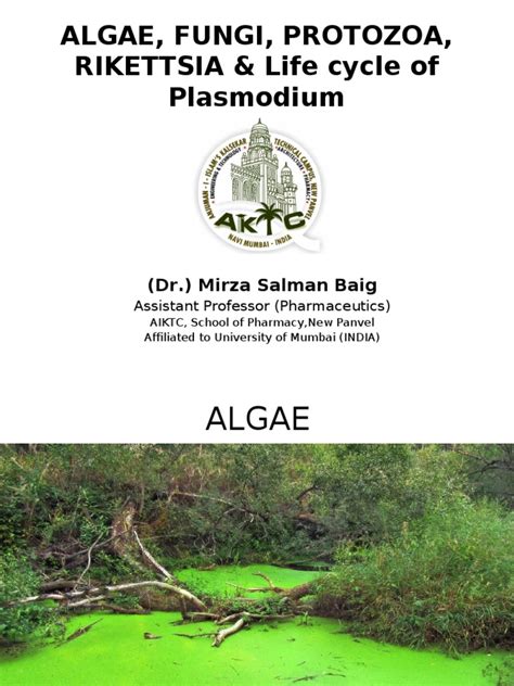 Algae Fungi And Protozoa Algae Earth And Life Sciences