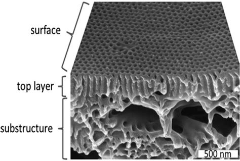 Scanning Electron Micrograph Of A So Called Isoporous Integral