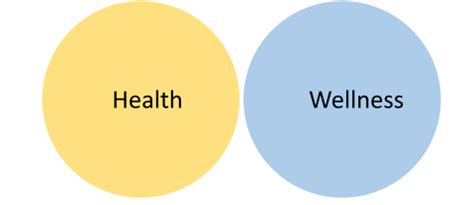 Health And Wellness The Basics Of Health Wellness And Fitness Revised Edition