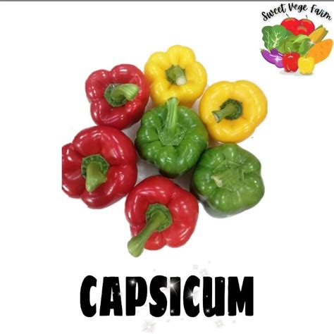 Cameron Capsicum Red Yellow Green Cili Epal Cameron Merah Kuning Hijau 金马伦灯笼椒 [150g 200g