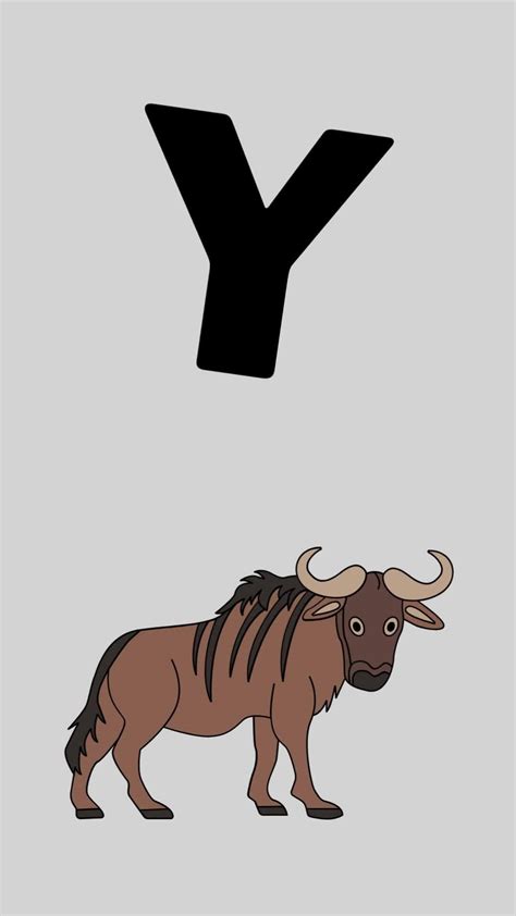 A B C Alfabeto Dibujos Animados Animación Bueno Para Educación