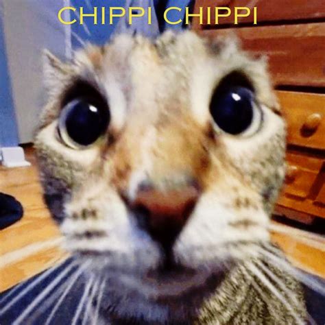 ‎chippi Chippi Chappa Chappa Trap Edition Single Album By Flyphonx And Prxnxv Apple Music