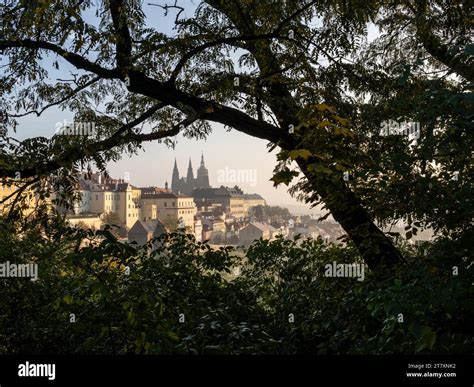 Prague Castle And St Vitus Cathedral In Morning Sunlight Unesco World Heritage Site Prague