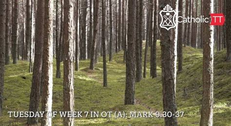 Tuesday February 21st We Must Decrease So That Christ Will Increase In