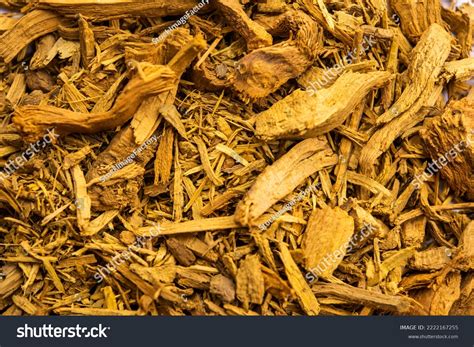 Ayurvedic Daruharidra Daru Haldi Tree Turmeric库存照片2222167255 Shutterstock
