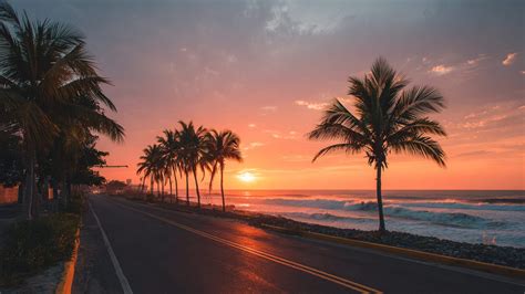 Floryda 2026 Przewodnik Co Zobaczyć Gdzie Pojechać