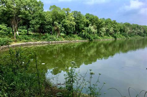 徒步休闲好去处，汤逊湖藏龙岛国家湿地公园【武汉市 江夏区】 藏龙岛 汤逊湖 国家湿地公园 新浪新闻