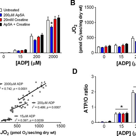 Oxidative Phosphorylation Oxphos Efficiency Increases As A Function