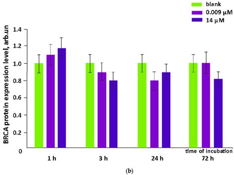 Expression Of Brca1 Gene A And Brca1 Protein B In Helf Cells After