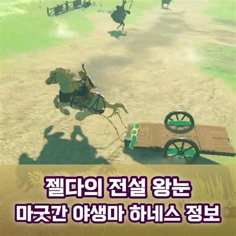 젤다 왕국의 눈물 신마리타 마구간 야생마 잡기 하네스 획득 방법 공략 네이버 블로그