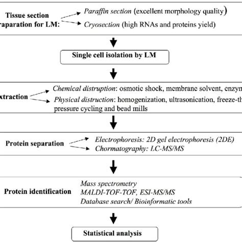 Experimental Proteomics Workflow The Classical Proteomics Workflow Has