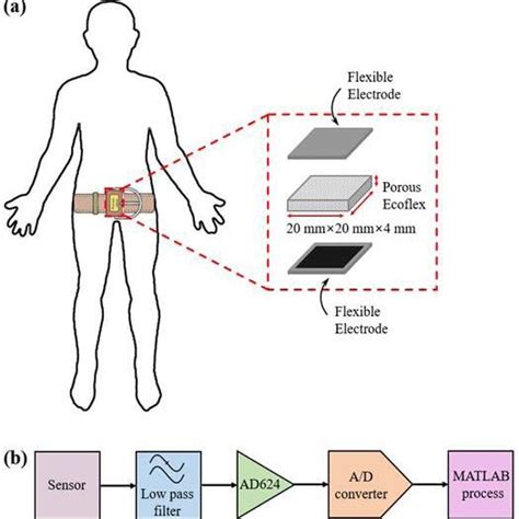 Pdf A Flexible Capacitive Pressure Sensor For Wearable Respiration Monitoring System