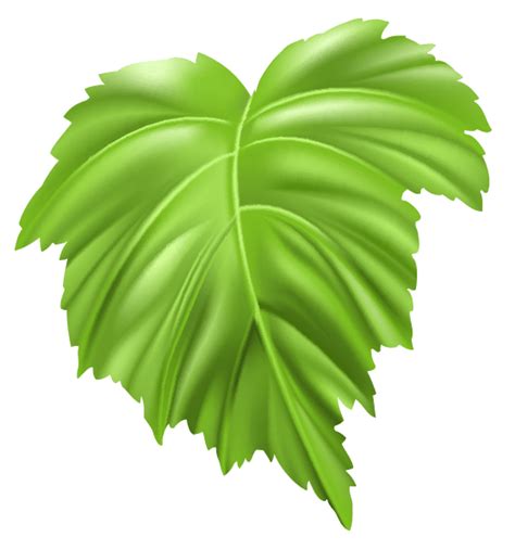 Hazel Class Millfields First School