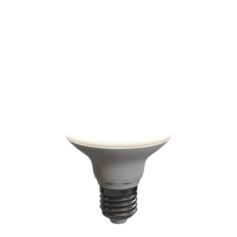 Opaque Globe Light Bulb Model Poliigon