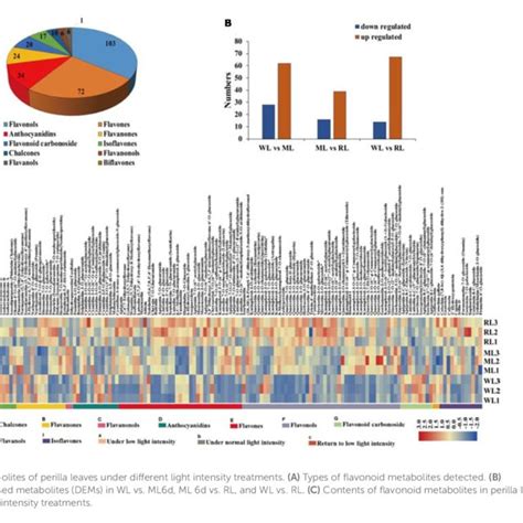 Leaf Color Anthocyanin And Flavone Contents Of Perilla Under Download Scientific Diagram