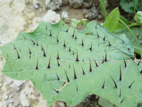 Professionalisation Brings Credibility Trust And Confidence In Public