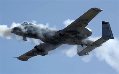 A 10 Warthog Wallpaper Hd Wallpapersafari