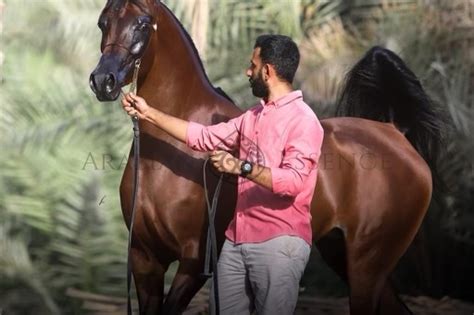 Azhar Al Zobair Gcat Riyadh 2024 Events Arabian Essence Tv