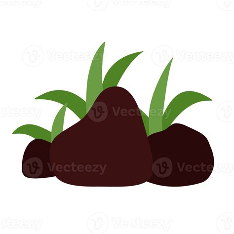 Stones And Grasses 35983659 Png