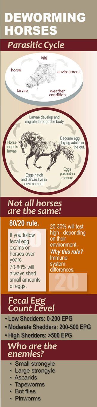 Deworming Infochart