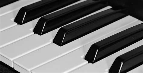 What Are Weighted Keys On A Keyboard Professional Guide
