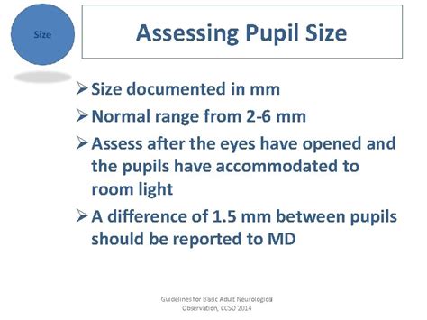 Normal Pupil Size On Neuro Assessment Innovationvere