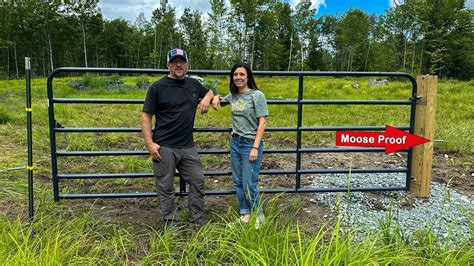 New Hack To Keep Moose From Destroying Pasture Fence For Our New