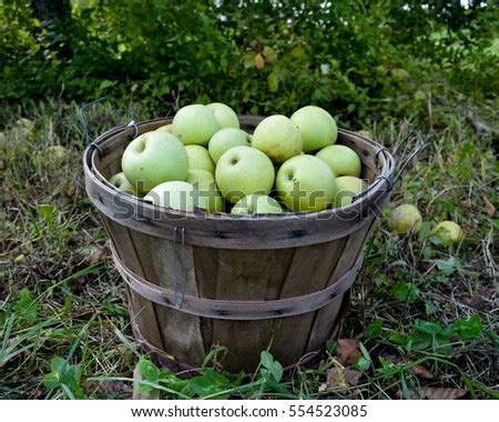 Bushel Stock Images Royalty Free Images And Vectors Shutterstock