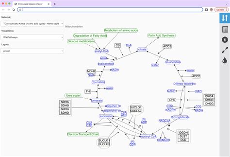 23 Export Your Data — Cytoscape User Manual 3104 Documentation