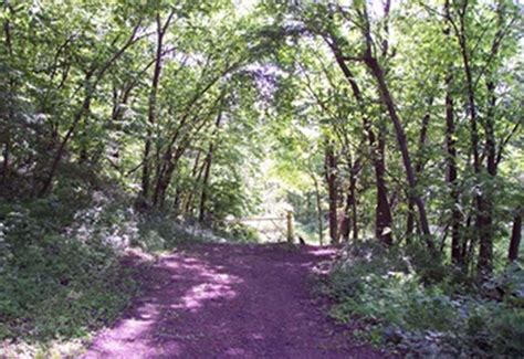 Dickson Timber Glidden Iowa Travel Iowa