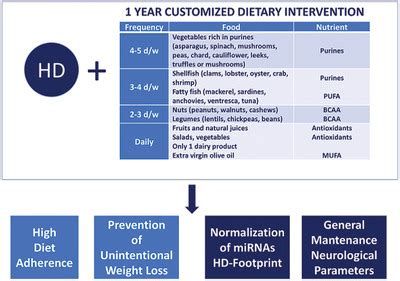 Molecular Nutrition And Food Research Vol 62 No 23
