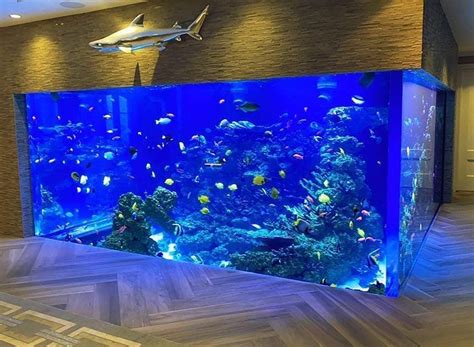 17k Gallon Home Aquarium One Of The Largest Private Aquariums In The