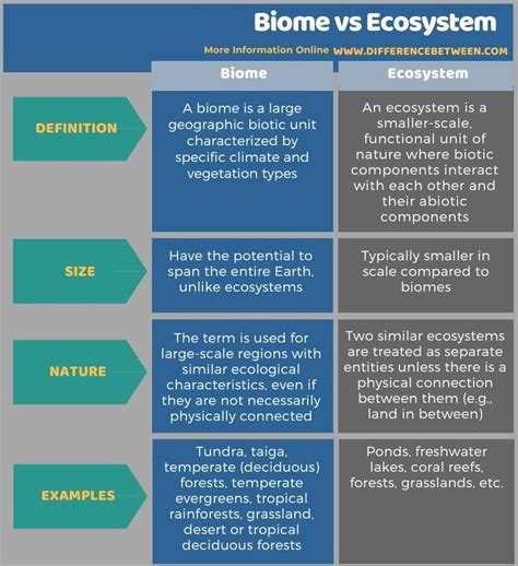 Difference Between Biome And Ecosystem