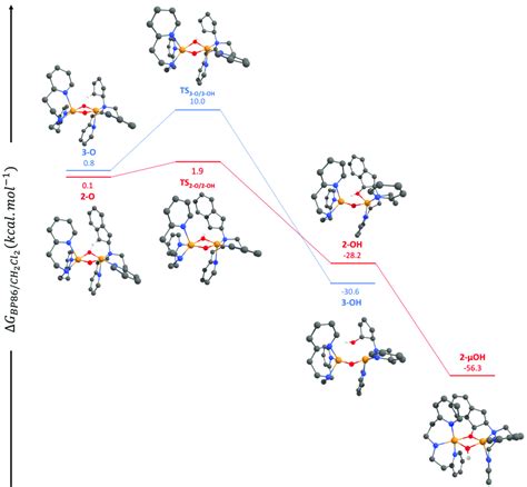 Computed Reaction Pathway Of The Hydroxylation Reaction Involving The